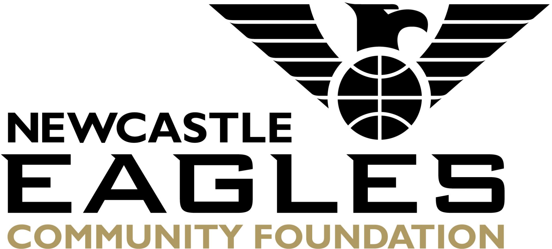 Eagles Community Foundation – Newcastle Eagles